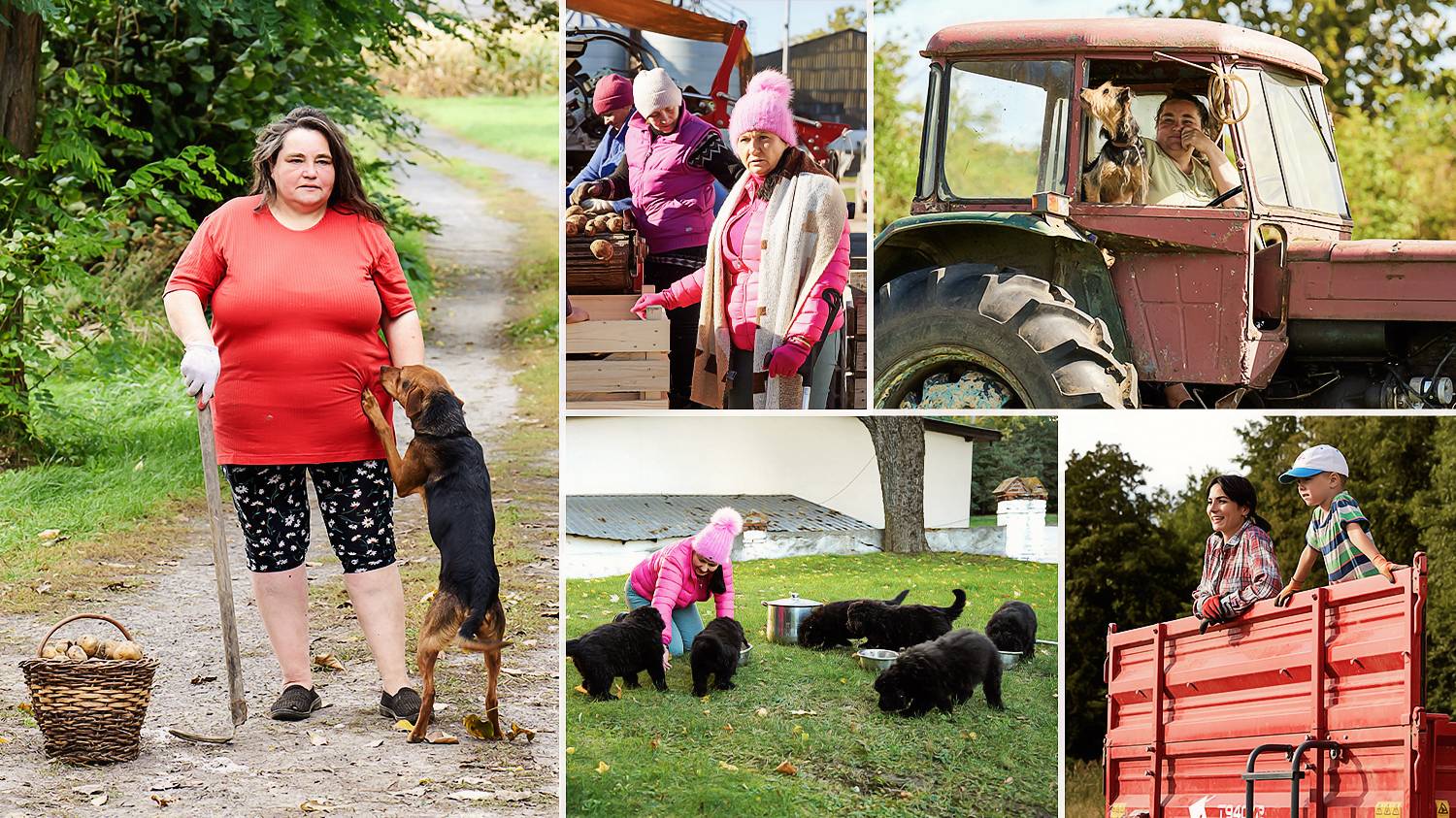 „Rolniczki” - odcinki 1 i 2: Każda jest inna, ale wiele je łączy ...