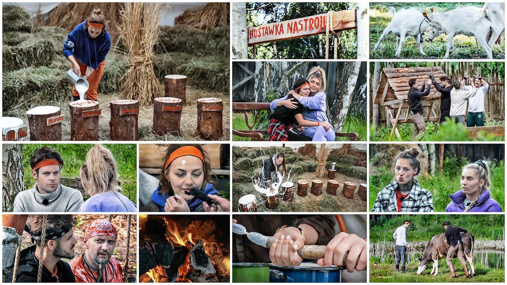 „Farma” - edycja 3, odcinek 13: Farba się rozlała. „Oko za oko”! - Polsat.pl