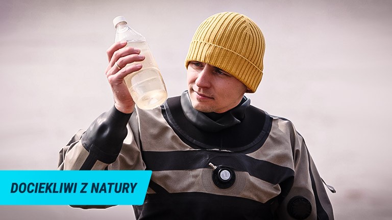 fokus.tv - oficjalna strona internetowa telewizji Fokus TV